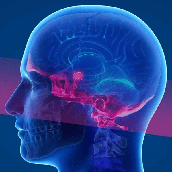 Nasal & Sinus Services Tampa FL, Sinusitis & Rhinitis Specialists